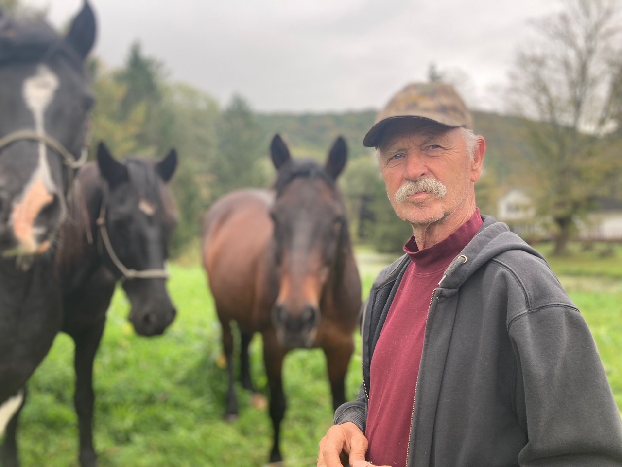 Elections 2021 – Meredith Democratic Committee